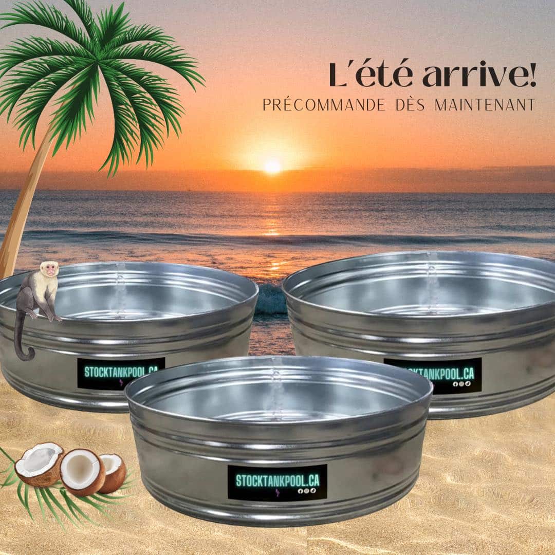 Stock Tank Pool Québec - La solution pour une piscine abordable au Québec!
